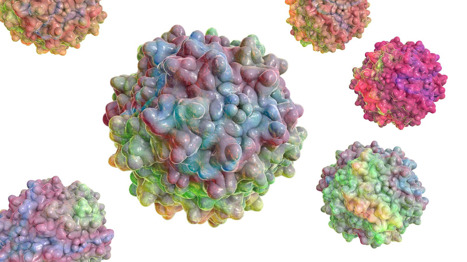 Personalización de vectores virales para promover la innovación en ...